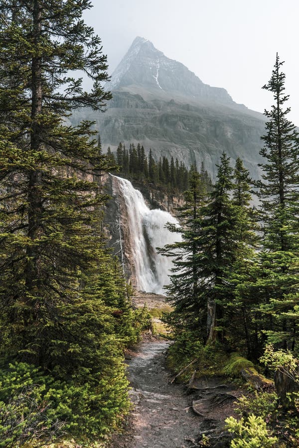 Waterfall with View between a Pine Trees Stock Photo - Image of ...
