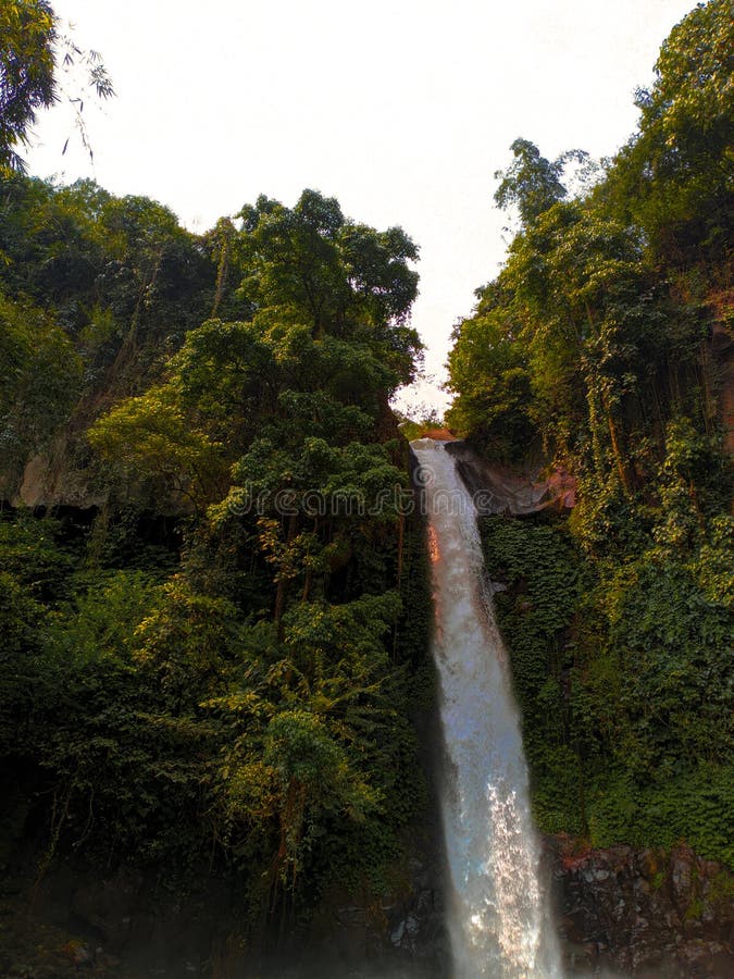A Waterfall View Potrait Photograph Stock Photo - Image of nature ...