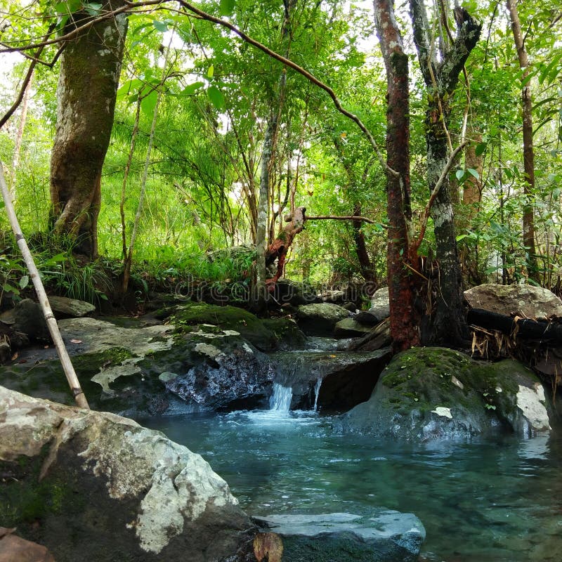 Waterfall stock photo. Image of steam, tree, water, waterfall - 156825346