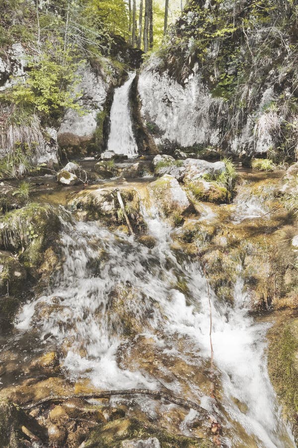 Nature View in Tatry, Slovakia Stock Image - Image of wood, forest ...
