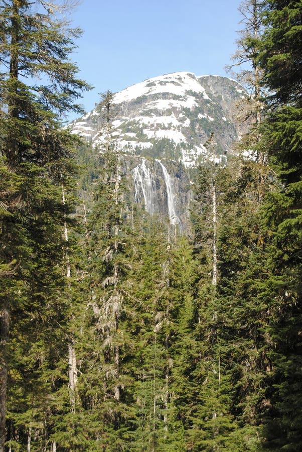 A Waterfall View through the Trees in Strathcona Provincial Park, BC ...