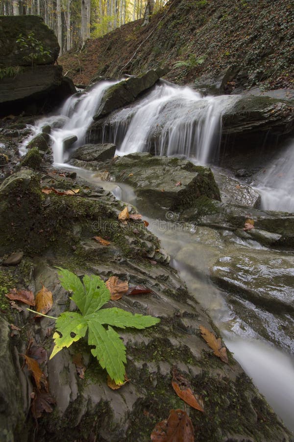 Waterfall stock image. Image of fluid, mountain, foliage - 63596329