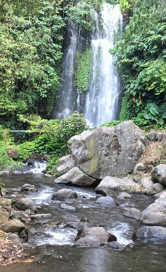 A Waterfall with Walls of Green Trees Flows Clear and Fresh Water Along ...