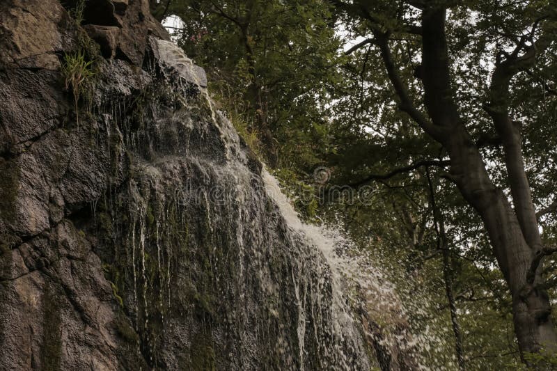 Waterfall with Water Falling Down the Rocks with Nature Forest Stock ...