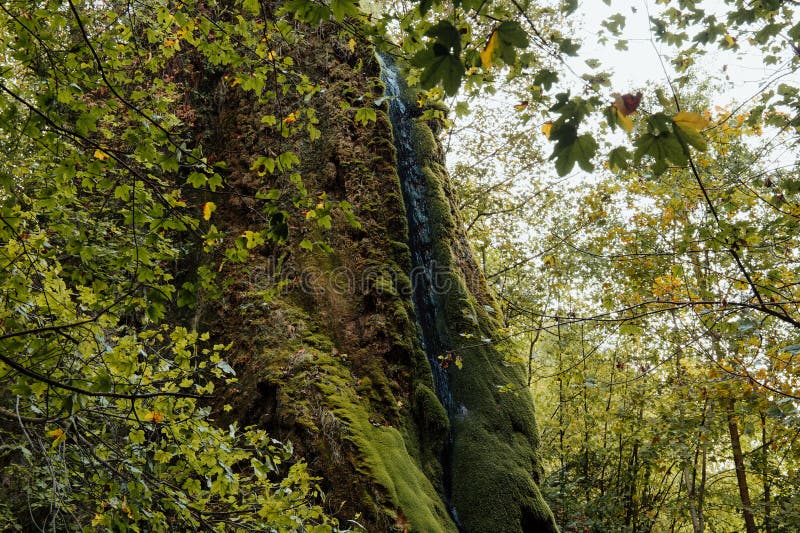 Waterfall, Water Flow from the Mountain, Picturesque Nature Stock Image ...
