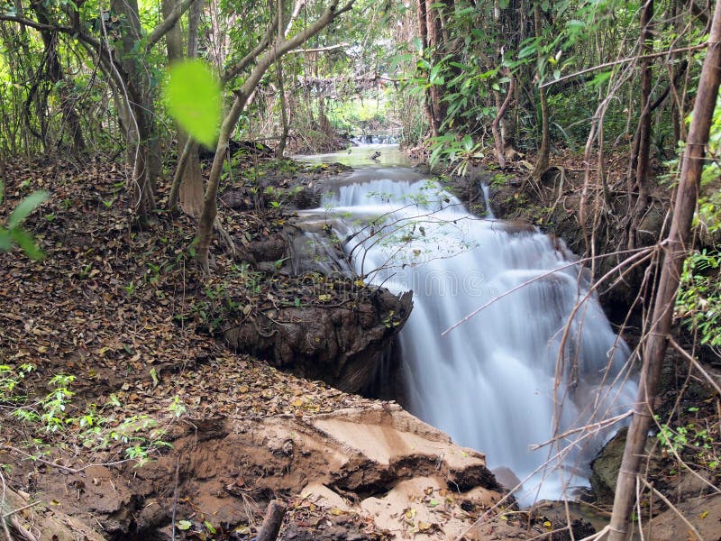 Waterfall with Water Flowing Around Stock Image - Image of plant ...