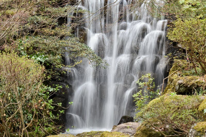 Waterfall, Water, Nature, Vegetation Picture. Image: 114713665