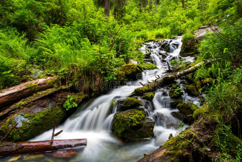Waterfall-water Runs Rapidly Over Huge Stones and Logs Stock Photo ...