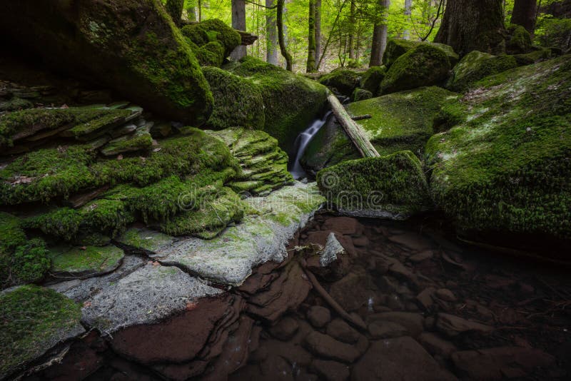 Waterfall Water Stream in Black Forest Stock Photo - Image of ditch ...
