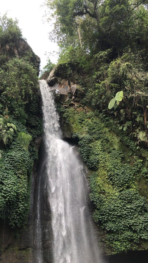 Waterfall stock photo. Image of malang, waterfall, indonesia - 200977694