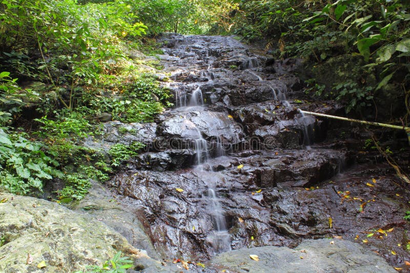 Waterfall stock image. Image of waterfall, stream, forest - 382676369