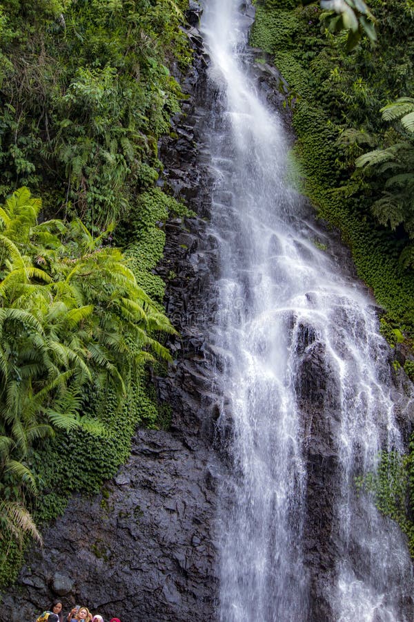Waterfall editorial stock image. Image of jungle, nature - 382677199
