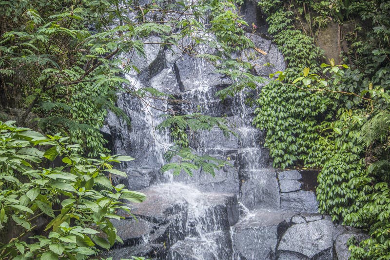 Waterfall stock photo. Image of waterfall, pond, water - 382678218