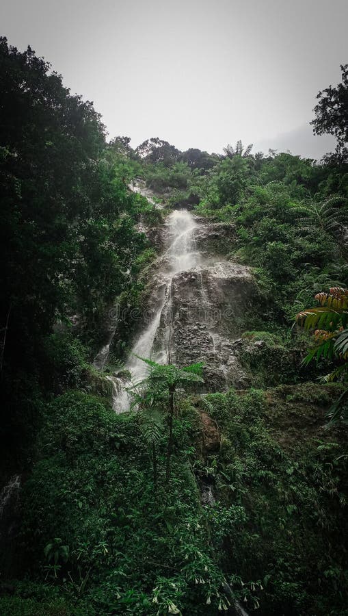 Waterfall West Java stock image. Image of forest, nature - 394719131