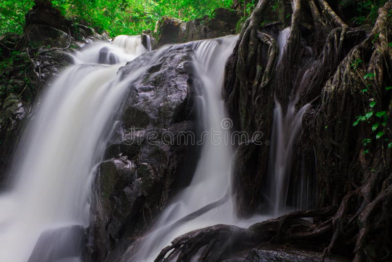Waterfall in the wild stock image. Image of closup, focus - 97301231