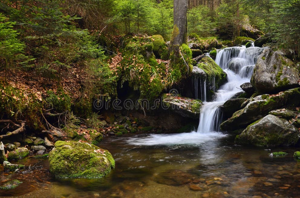Waterfall stock image. Image of brook, water, forest - 39564995