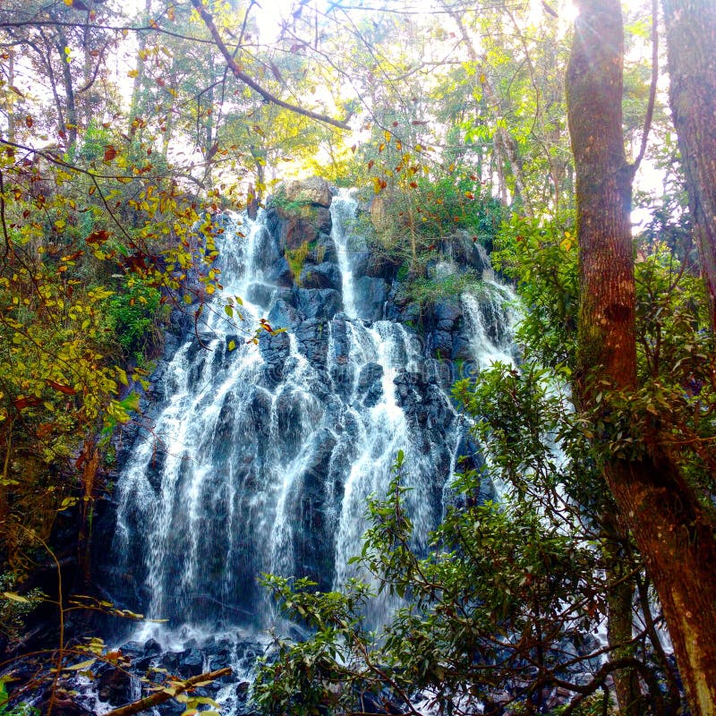 Waterfall wknd scape stock photo. Image of spring, scape - 199720628