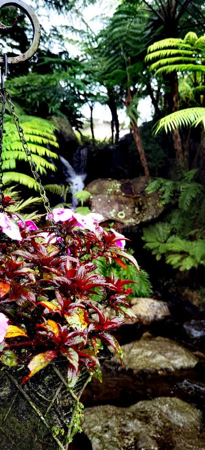 Waterfall stock image. Image of water, indonesia, panoramic - 261680617