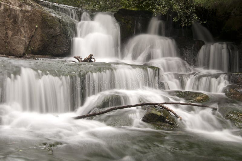 Waterfall with Wood stock photo. Image of mountain, rainforest - 15881264