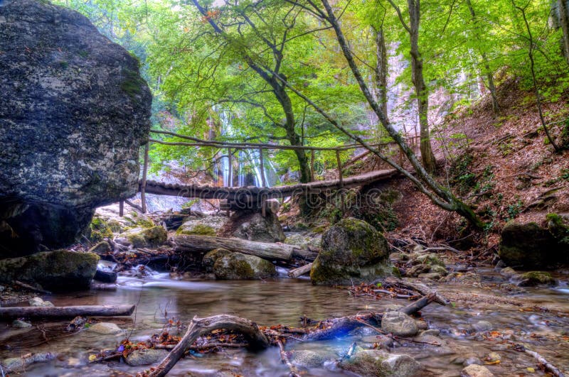 Waterfall in the wood stock photo. Image of jungle, beautiful - 33438520