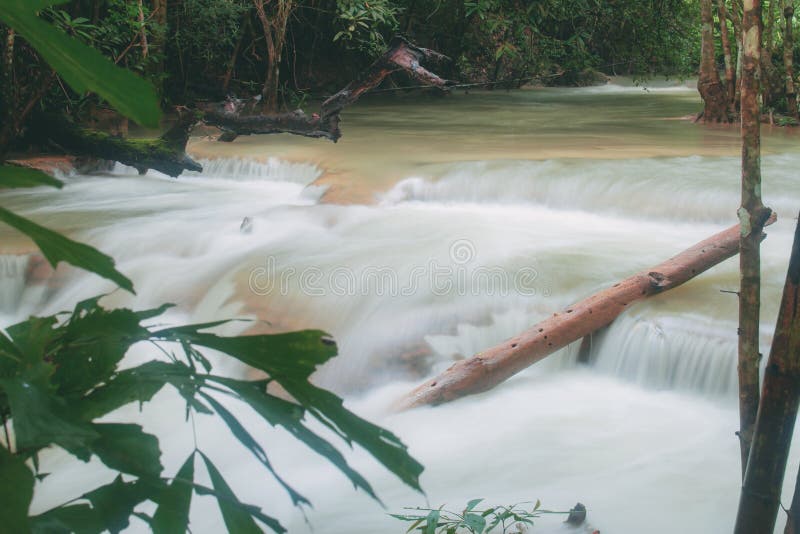 Waterfall and Wood of Natural. Stock Image - Image of khamin, beautiful ...
