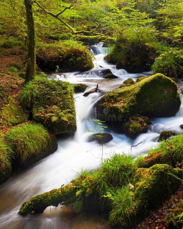 Waterfall in the Woods stock photo. Image of scenics - 27254754
