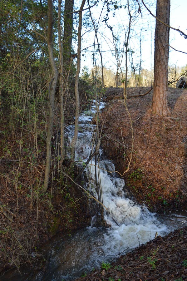 Waterfall in Woods stock photo. Image of bank, river - 71130068