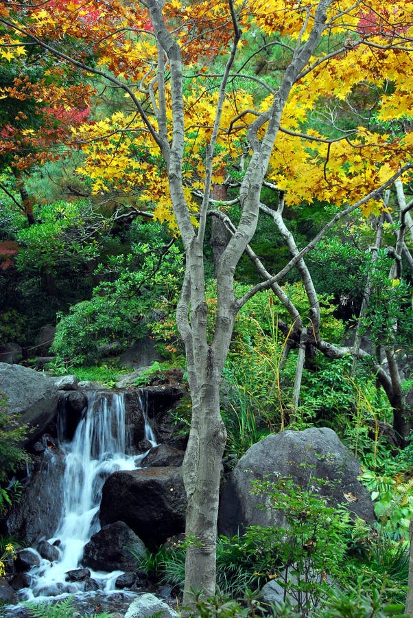 Wonderful Whitewater stock image. Image of lakes, forest - 112952669