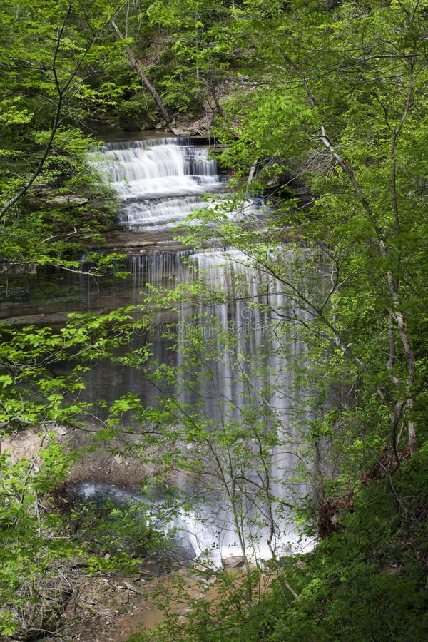 Big Clifty Falls in Clifty Fall State Park, Indiana Stock Image - Image ...