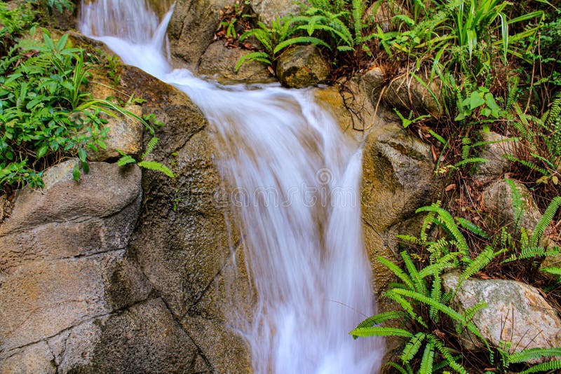 Waterfalls Amid the Grass and Trees Stock Image - Image of tropical ...