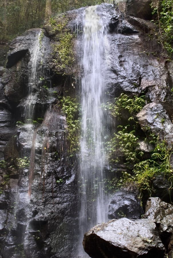 Waterfalls Bunya Mountains Queensland Stock Image - Image of waterfall ...