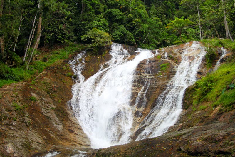 Waterfalls at Cameron Highlands, Malaysia Stock Photo - Image of jungle ...