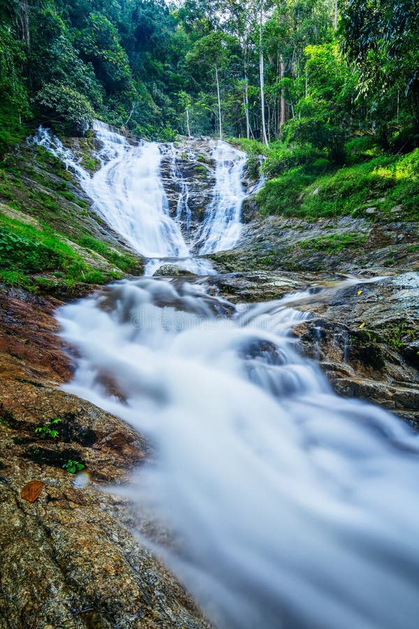 Tropical Waterfall Through Forest Jungle Cameron Highlands Malaysia ...