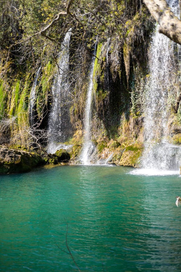 Waterfalls Cascade into a Serene Turquoise Pool Surrounded by Lush ...