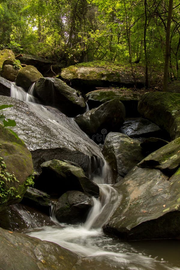 Waterfalls, Clear, Beautiful, Green, Plants, Moss, Rocks. Stock Photo ...