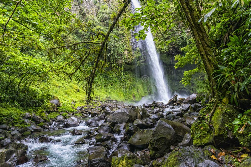 The Waterfalls are Coming from the Rocks and Tree Branches in the ...