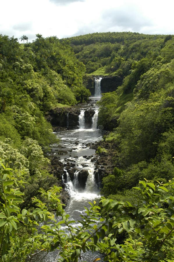 Day Ravine Hawaii Stock Photos - Free & Royalty-Free Stock Photos from ...