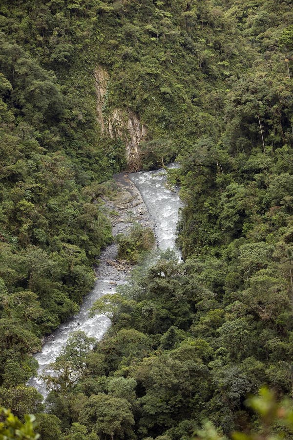 WATERFALLS, MANU NATIONAL PARK in PERU Stock Photo - Image of south ...