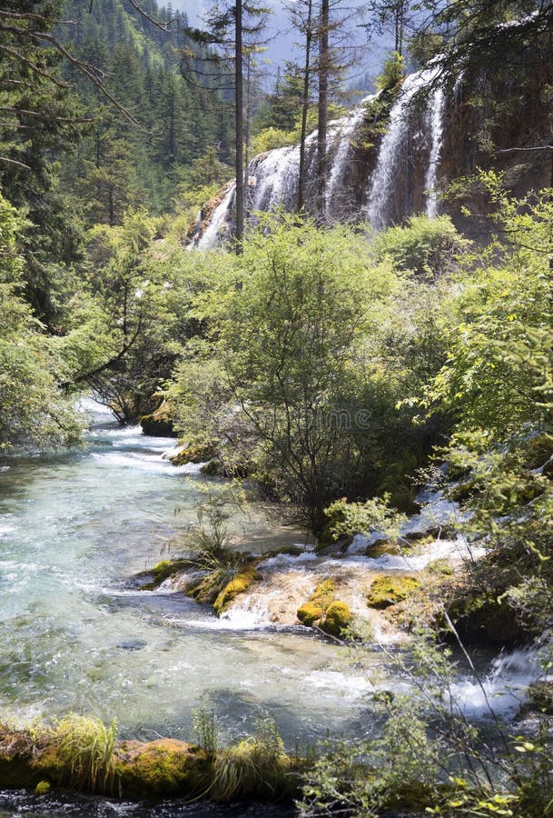 Waterfalls Mountain Springs Stock Photo - Image of ferns, resource ...
