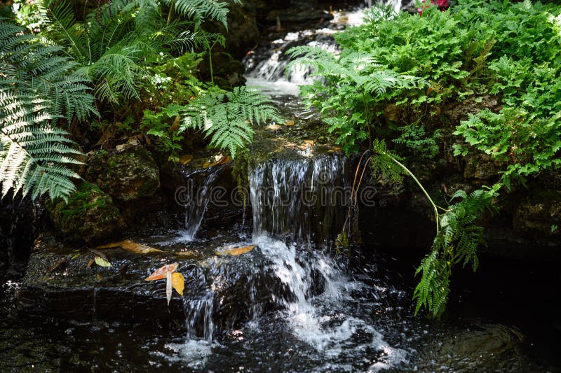 Waterfalls in the Mountains and Has Small Trees Stock Photo - Image of ...