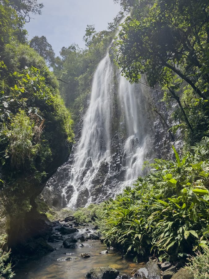 Waterfalls in the Mountains of Panama Stock Image - Image of rapid ...