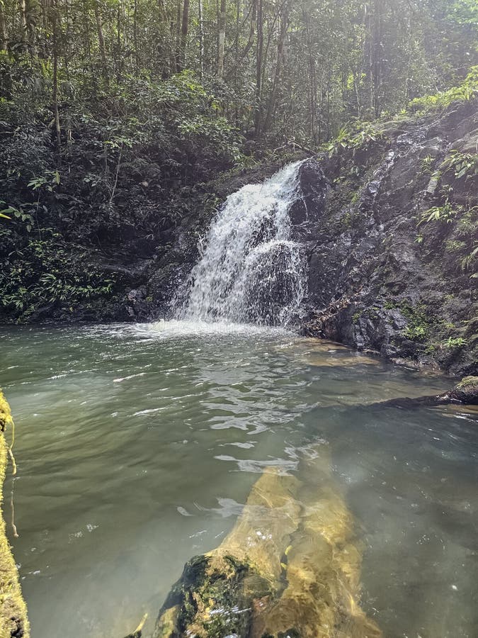 Waterfalls in the Mountains of Panama Stock Image - Image of water ...