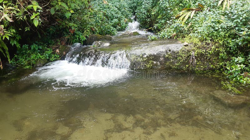 Nepali waterfall stock photo. Image of annapurna, view - 12600272