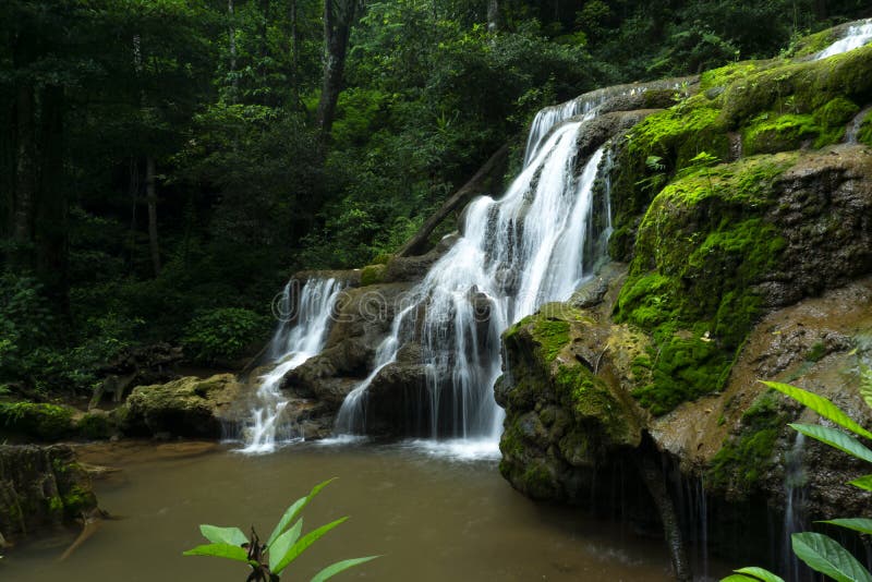 Waterfalls in the Rainy Season, Wetness in the Rainy Season Stock Image ...