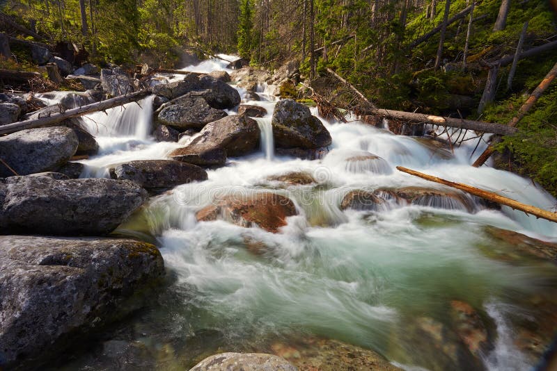 Waterfalls and Rapids on the River in the Forest Stock Photo - Image of ...