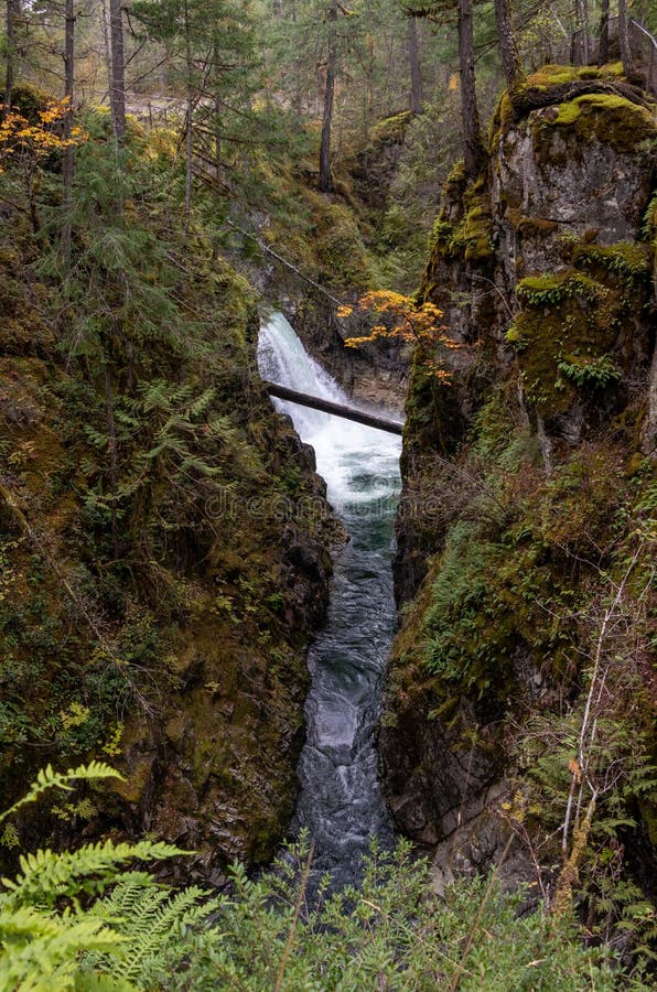 Waterfalls and River at Little Qualicum Falls Provincial Park, B.C ...