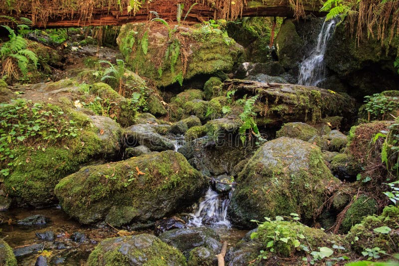 Waterfalls on a Rocky Stream Stock Photo - Image of outdoors, cascades ...