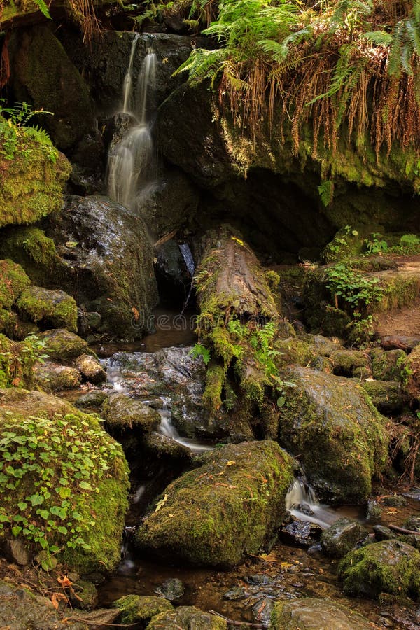 Waterfalls on a Rocky Stream Stock Photo - Image of moss, beautiful ...