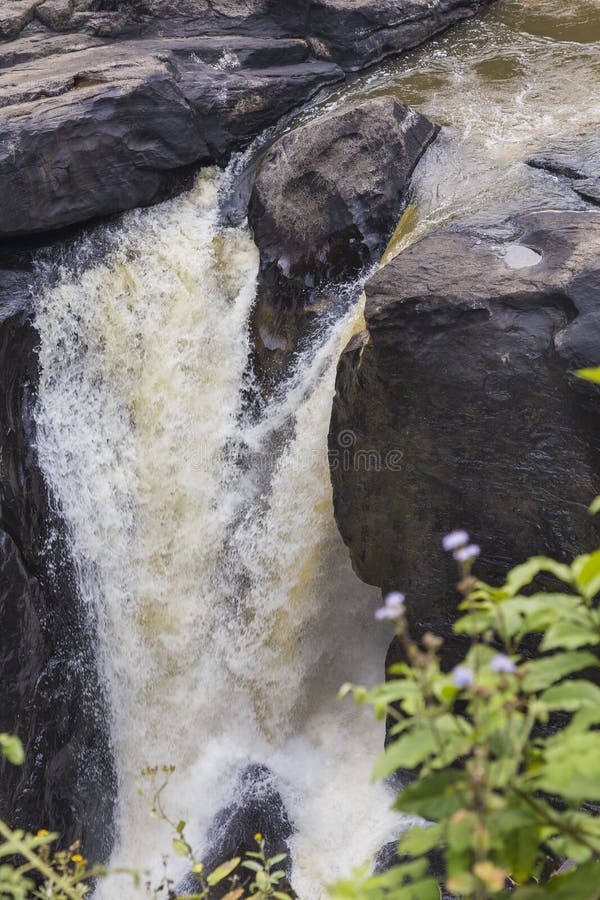 Waterfalls on Spring Water with Black Rocks in Ranomafana, Madagascar ...