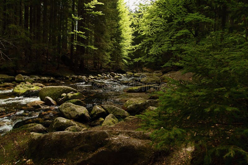 Waterfalls on a Stream in the Forest Stock Photo - Image of mountain ...